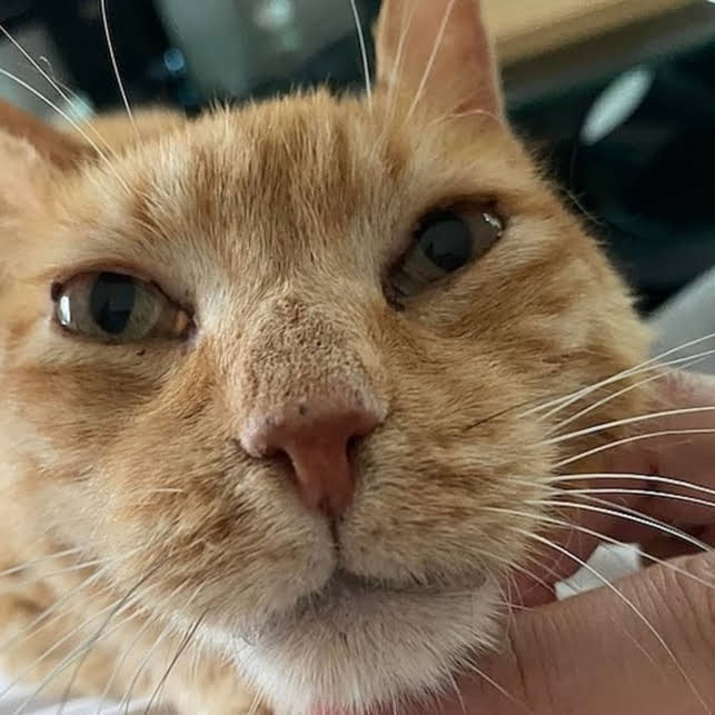 Post from Nina Story