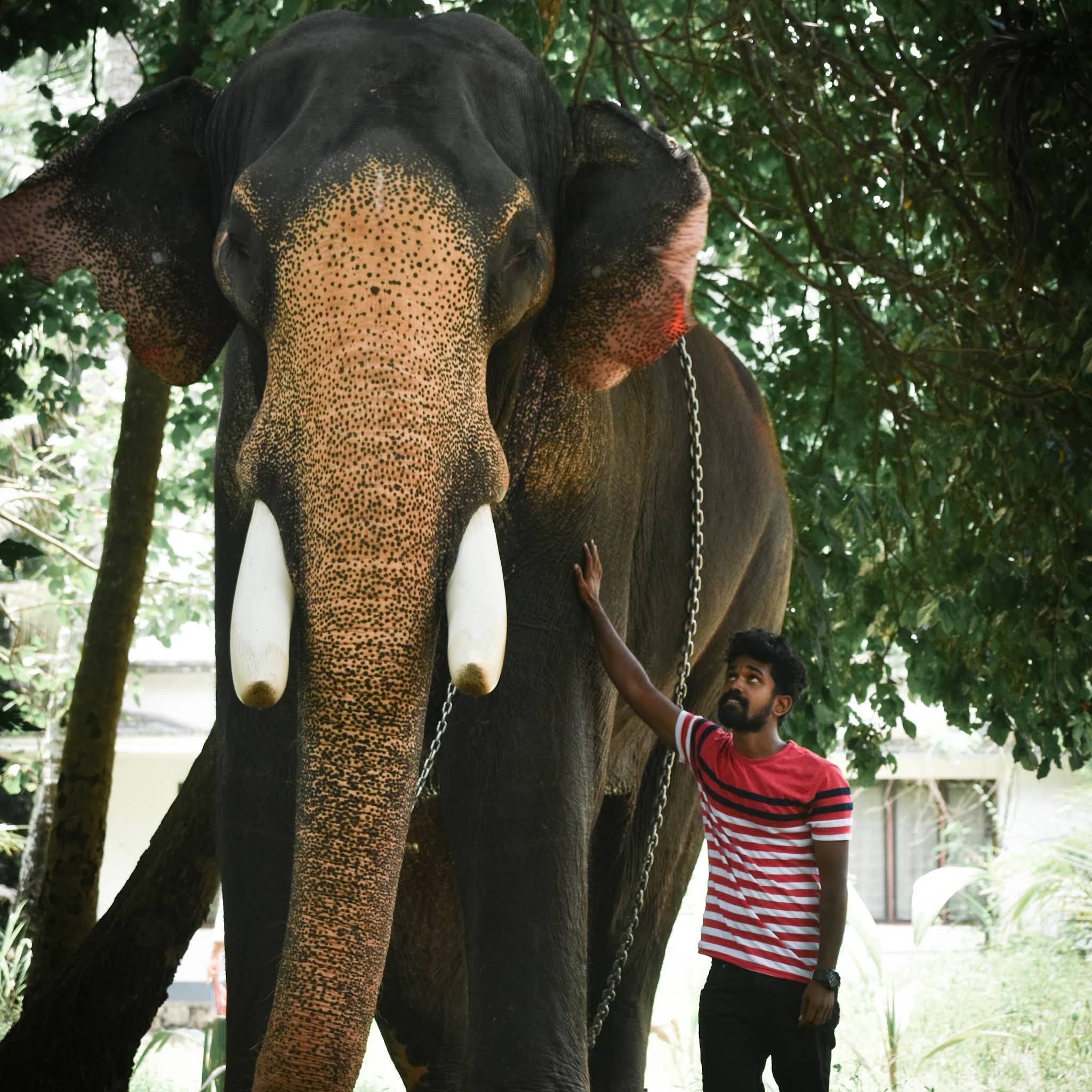 Post from Nithin Mohan
