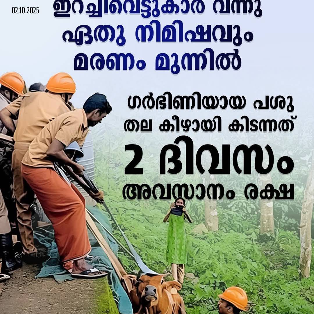 Post from Palakkadan changathi