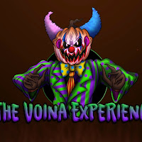 Poll from The Voina Experience