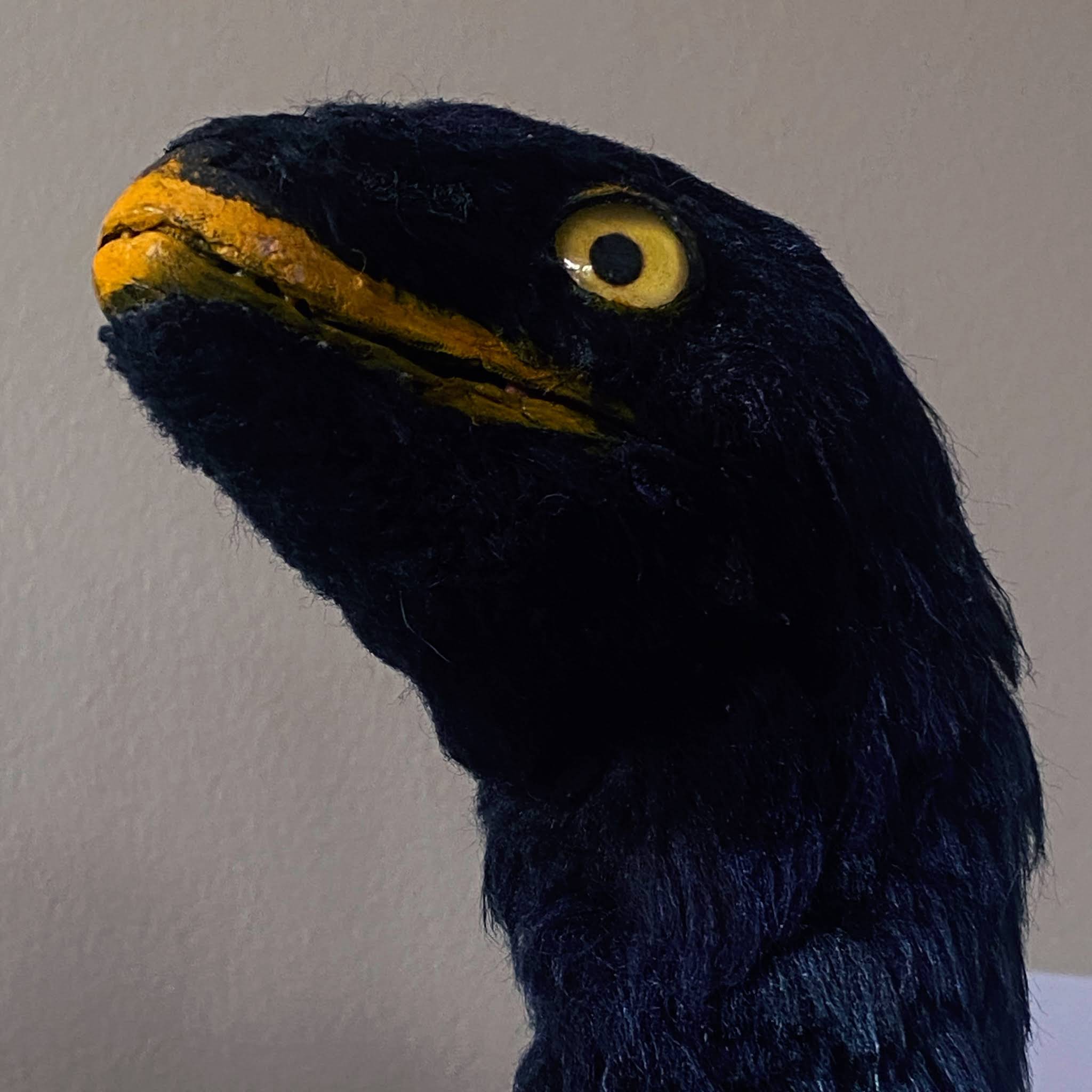 Post from Archesuchus