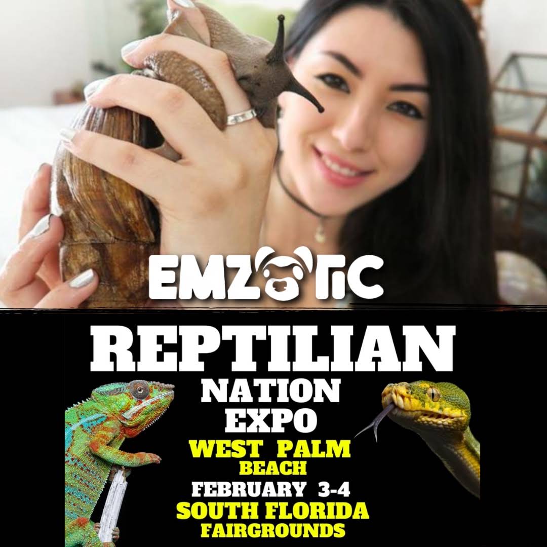 Post from Emzotic