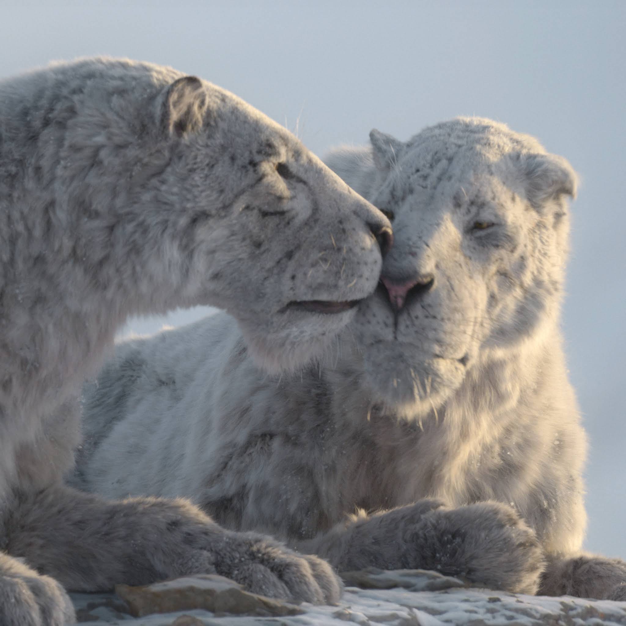 Post from Evolution Square