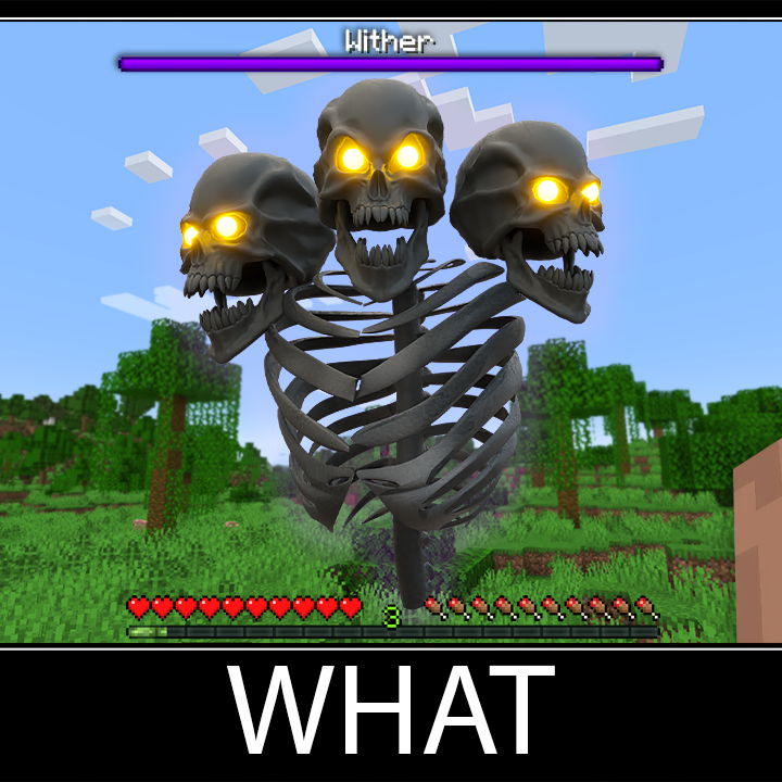 Post from Sticky - Minecraft memes