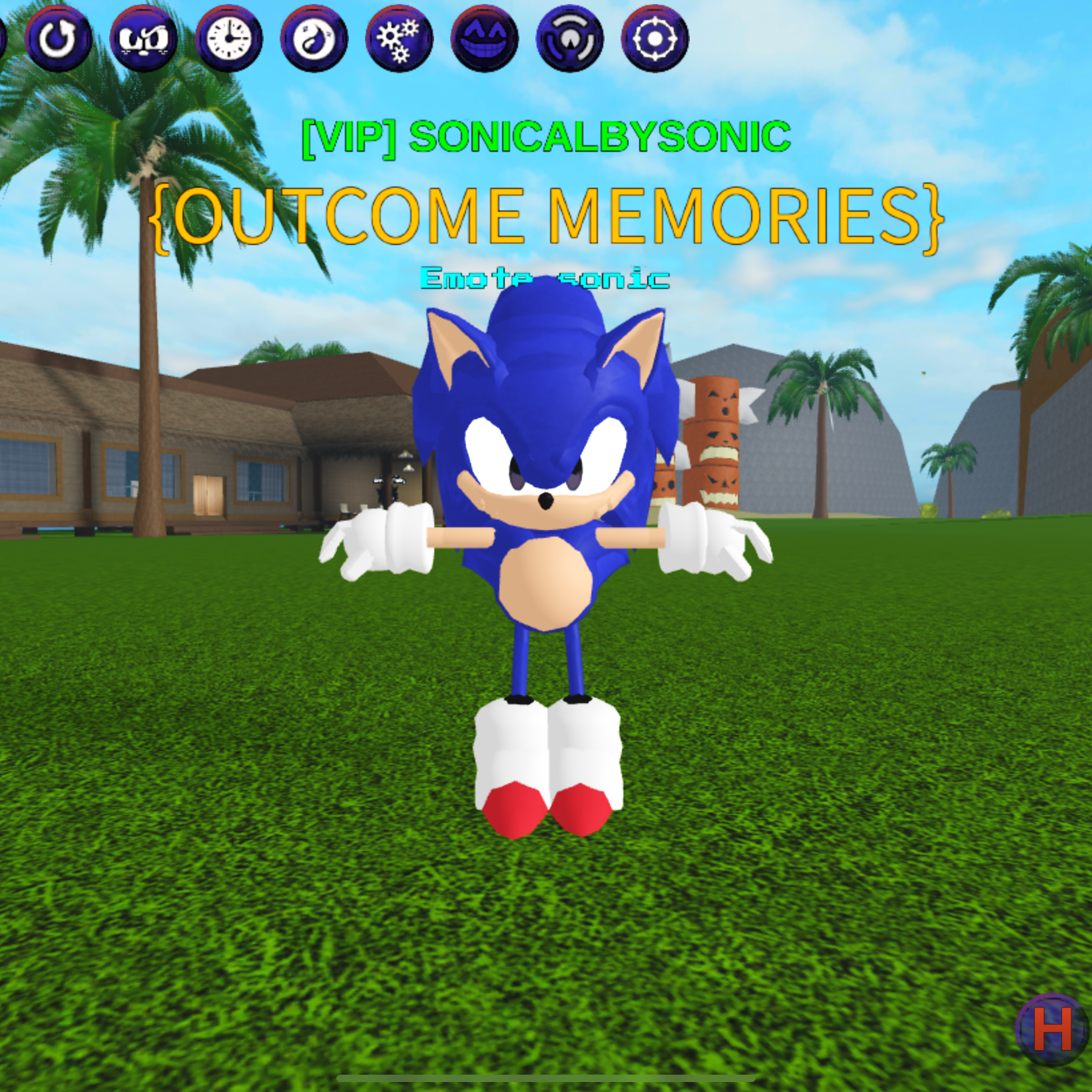 Post from Sonic Lightyear