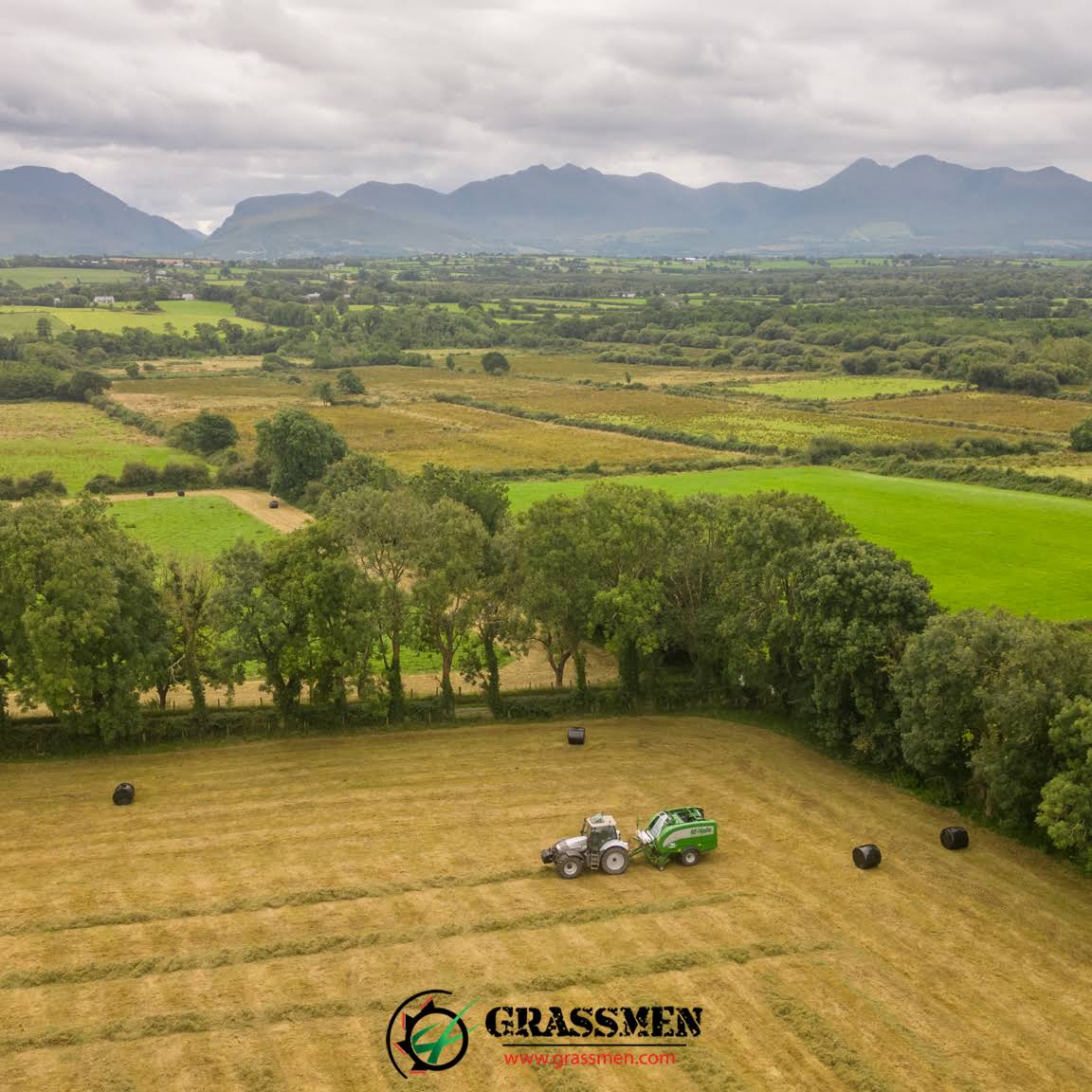 Post from GRASSMEN