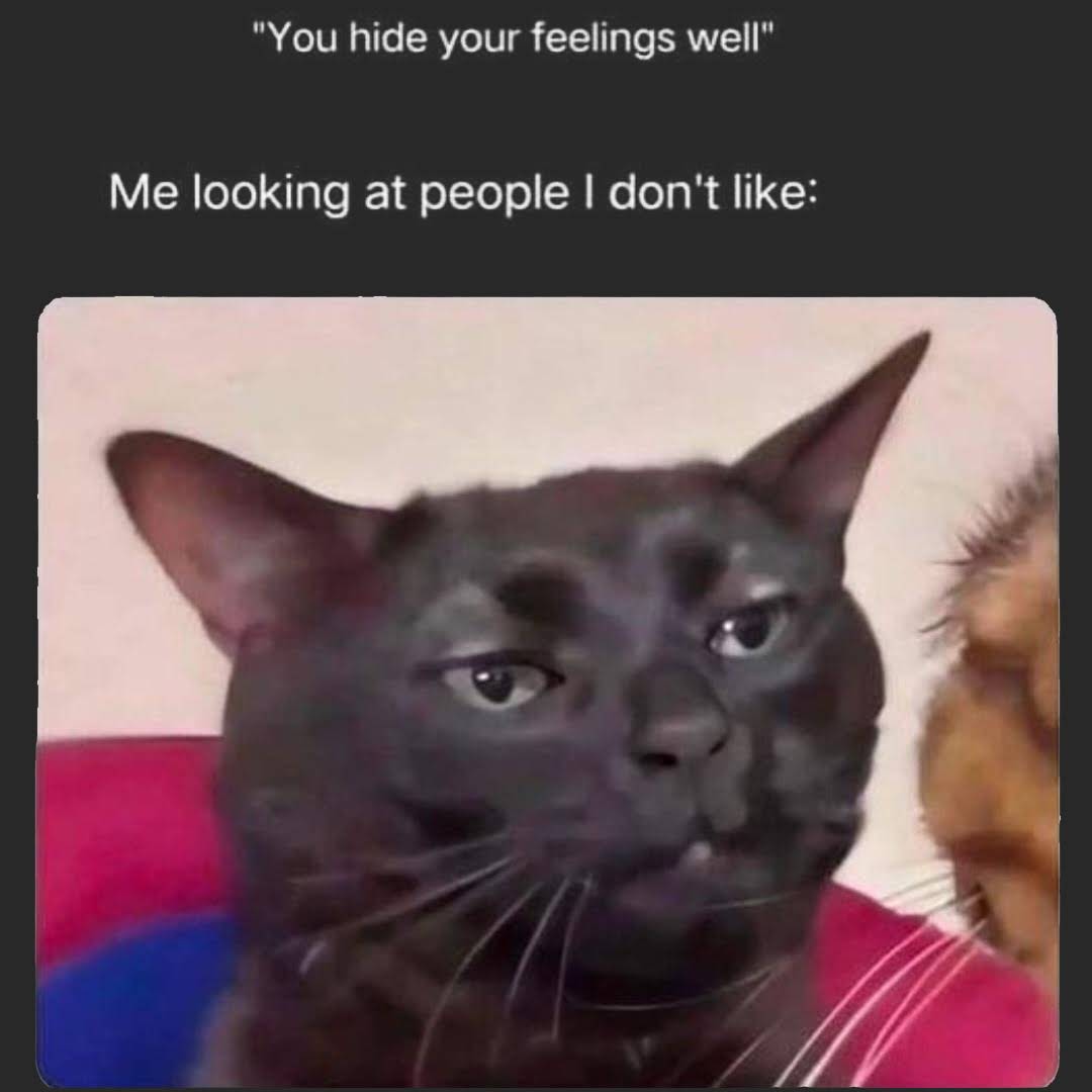 Post from Dark Theme Meme