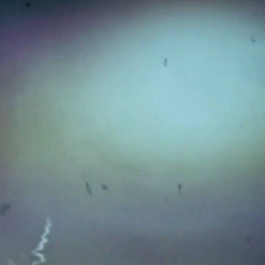 oOoOO - Topic - YouTube