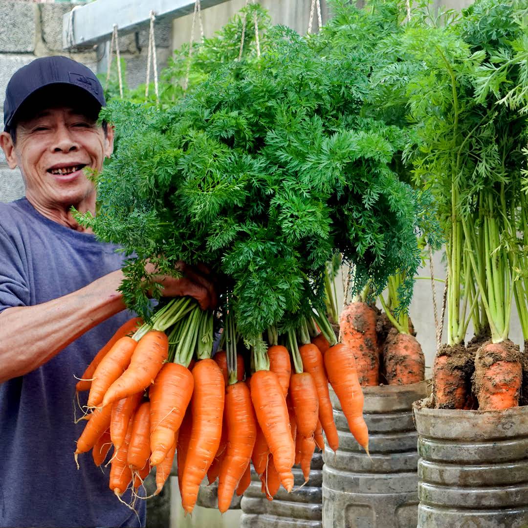 Post from TEO Garden