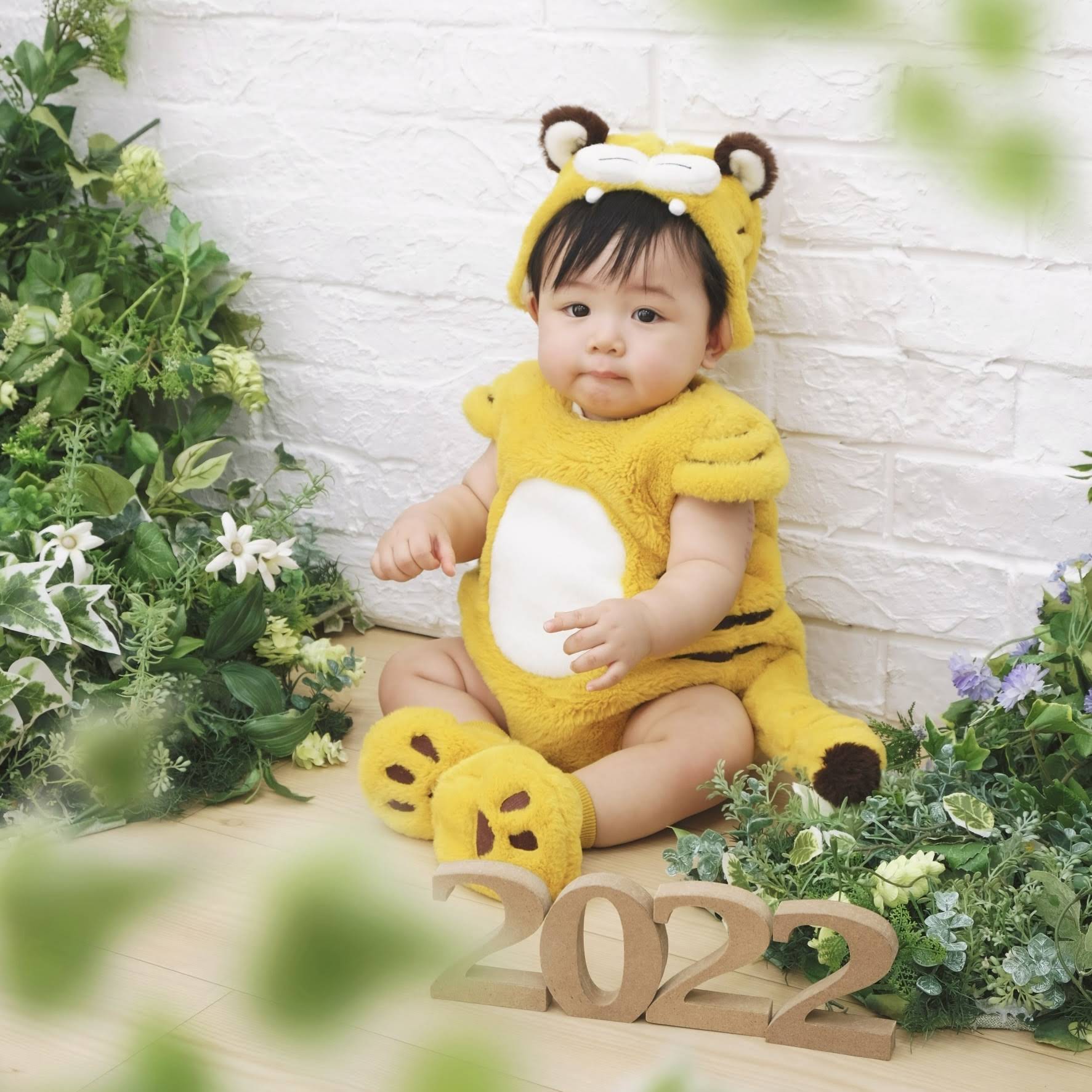 Post from アヤトの育児 -Sumo baby Ayato&Haruma&Kanata-