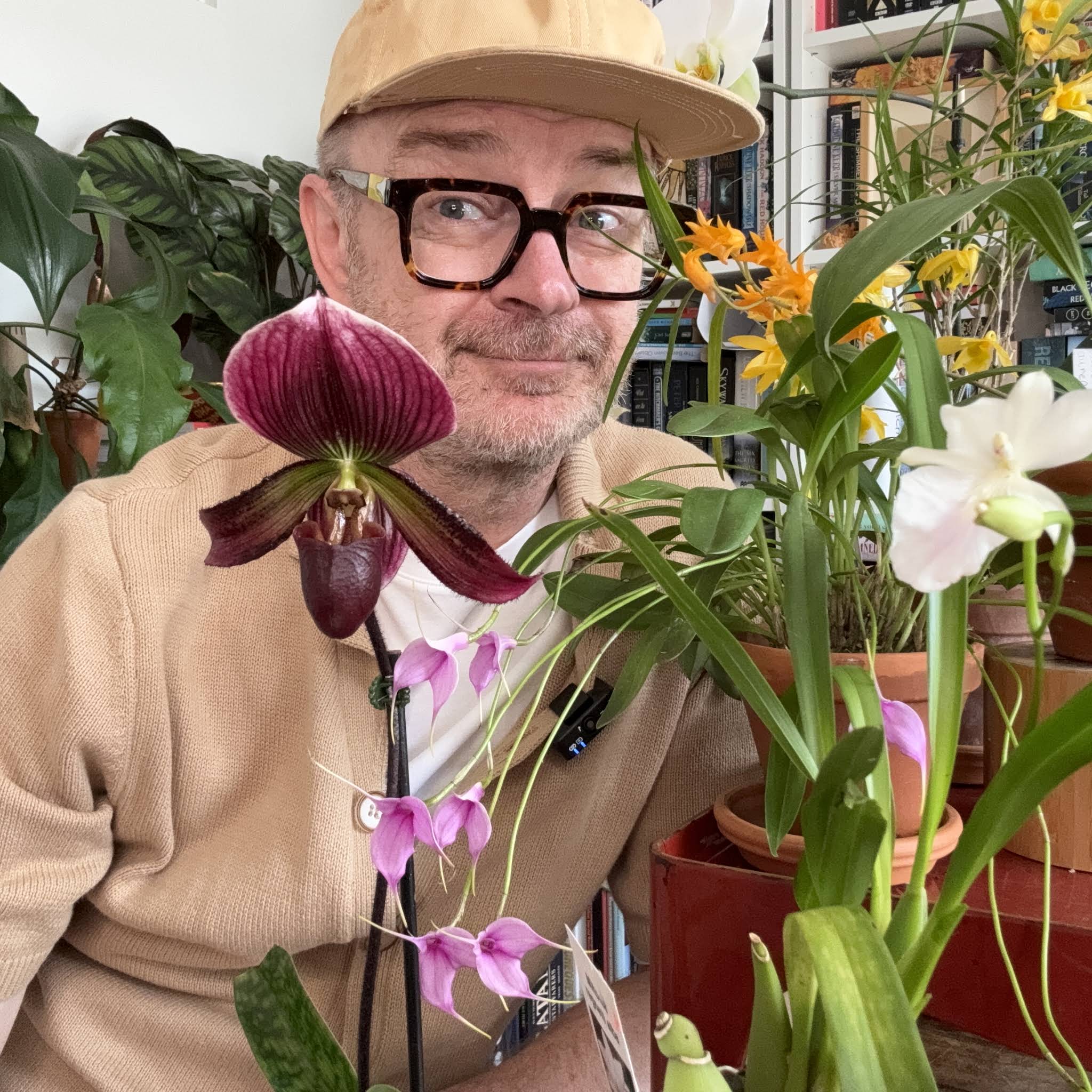Post from Hello Plant Lovers!