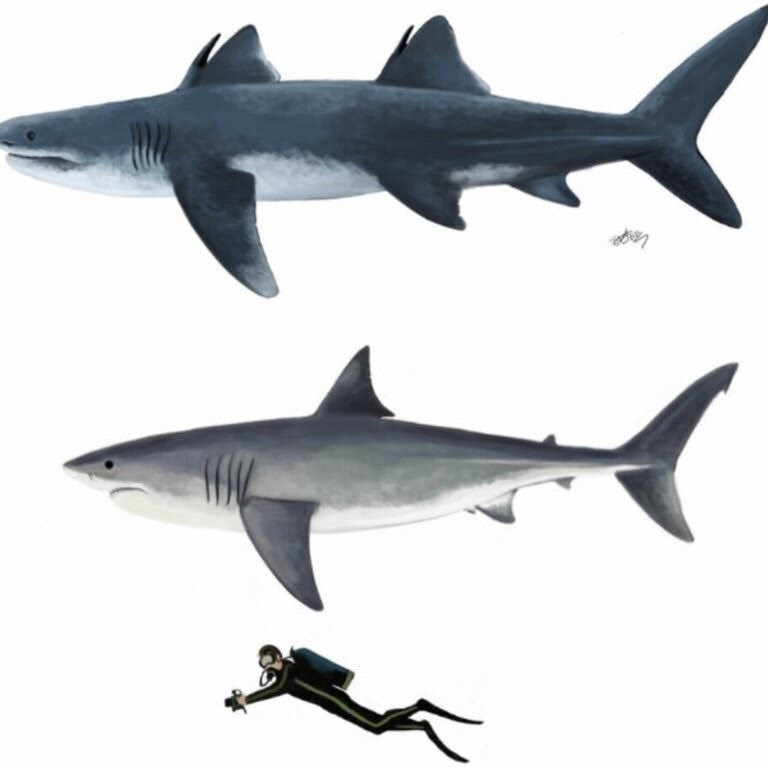 Post from Dizzy Rose