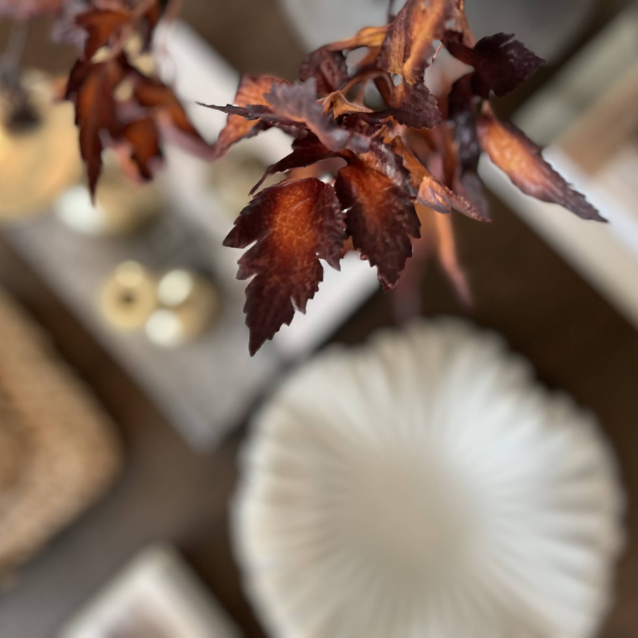 Post from Hannah Naylor