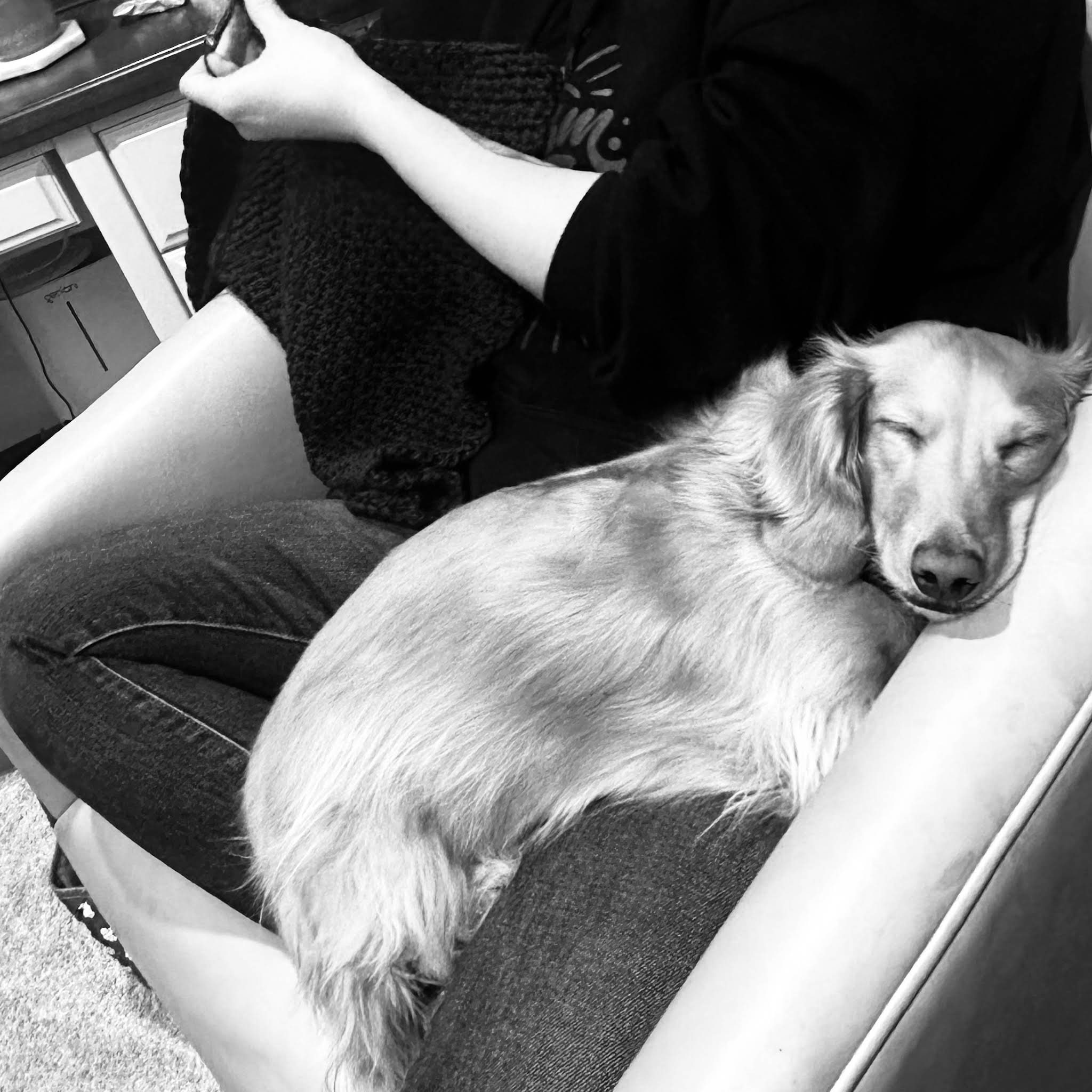 Post from Crochet With Tiffany Hansen