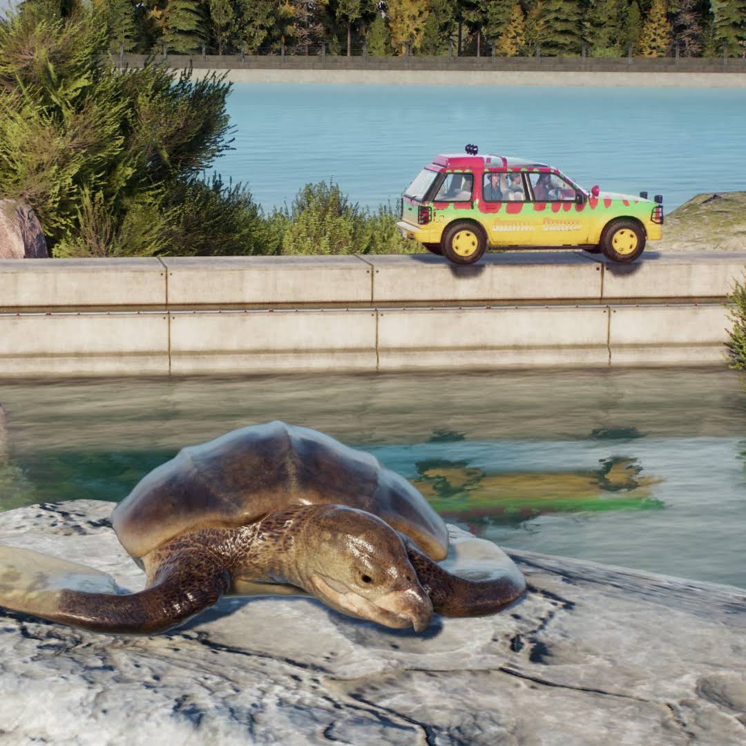 Post from Evolution Square