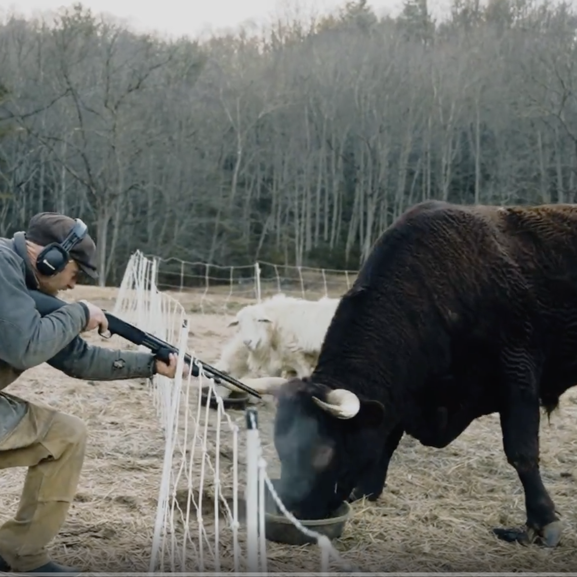 Post from Justin Rhodes