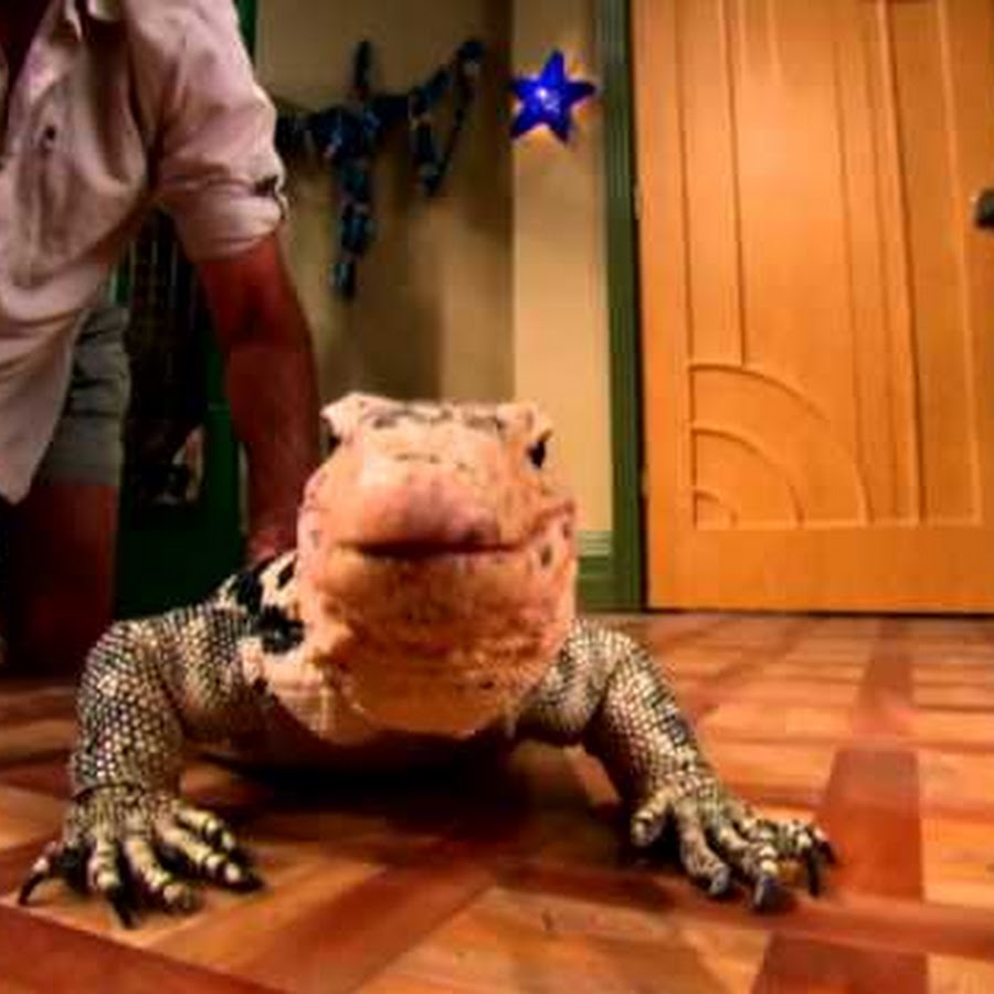 Mrs Kipling - Topic - YouTube