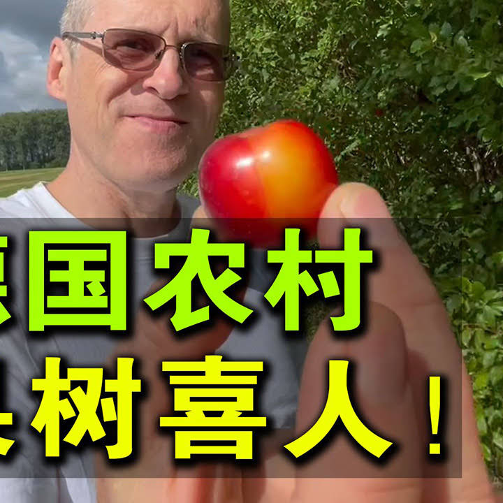 Post from German Leo Lebo says