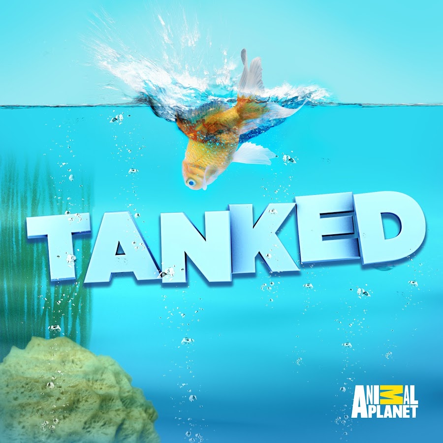 Tanked - YouTube