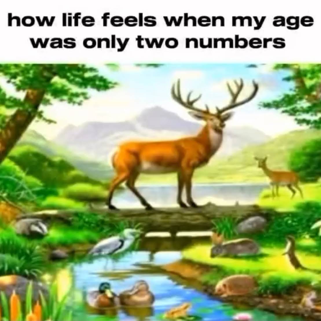 Post from Lessons in Meme Culture