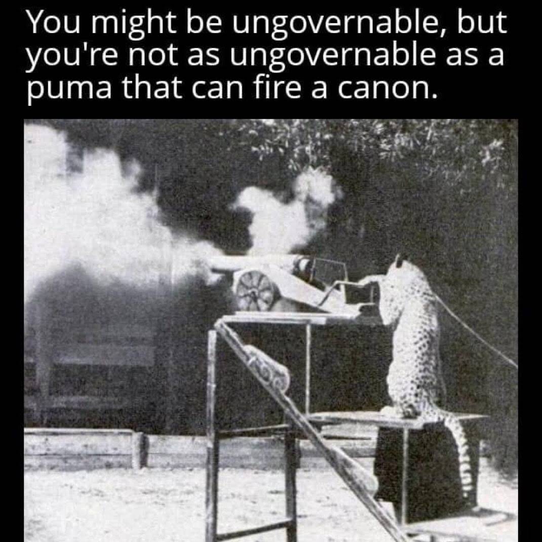 Post from Off Topic Show Memes