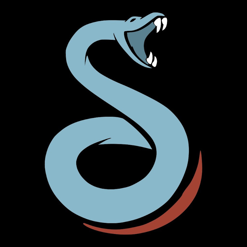 Sidewinder Volleyball Academy - Volleyball Club in Tucson, AZ - Travel ...