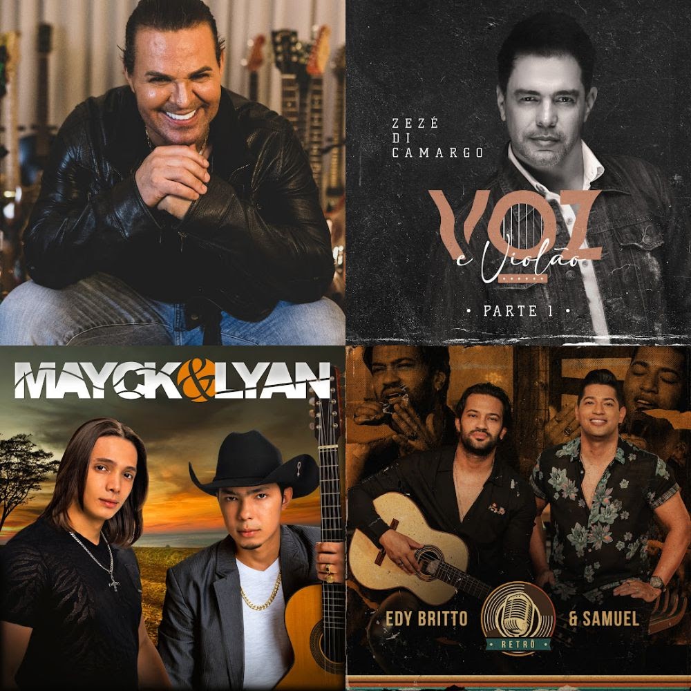 Euler - Sertanejas Music