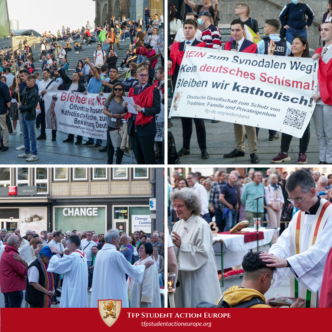 Post from TFP Student Action Europe