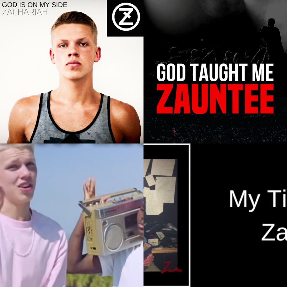 Zauntee