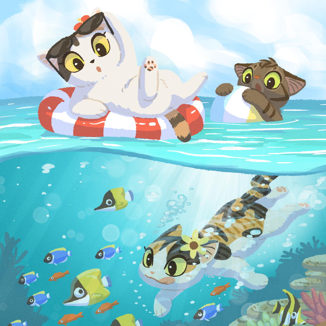 Post from pocomo life