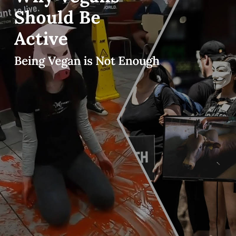 Post from Stanley Betts