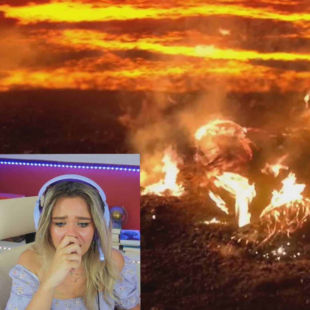 Post from Kim Ellendale