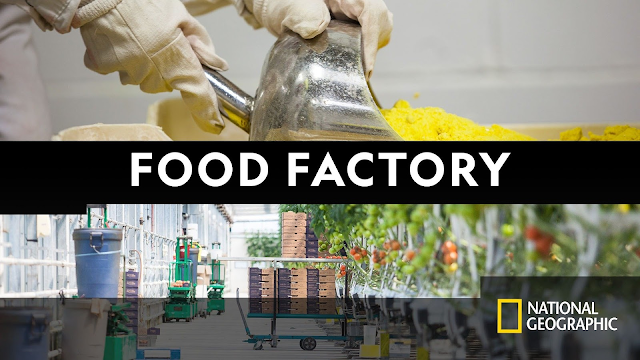 Watch Food Factory online | YouTube TV (Free Trial)