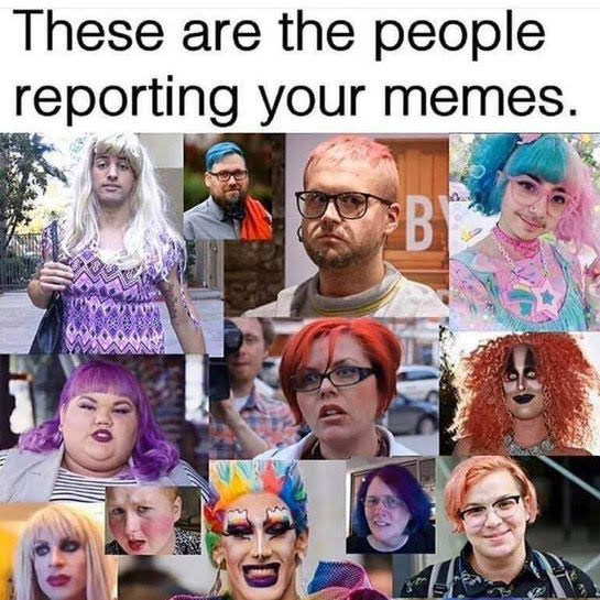 Post from MEME THE LEFT