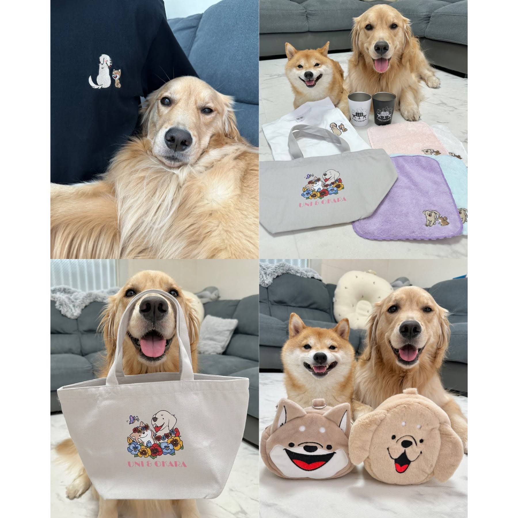 Post from Mame shiba UNI＆Golden retriever OKARA