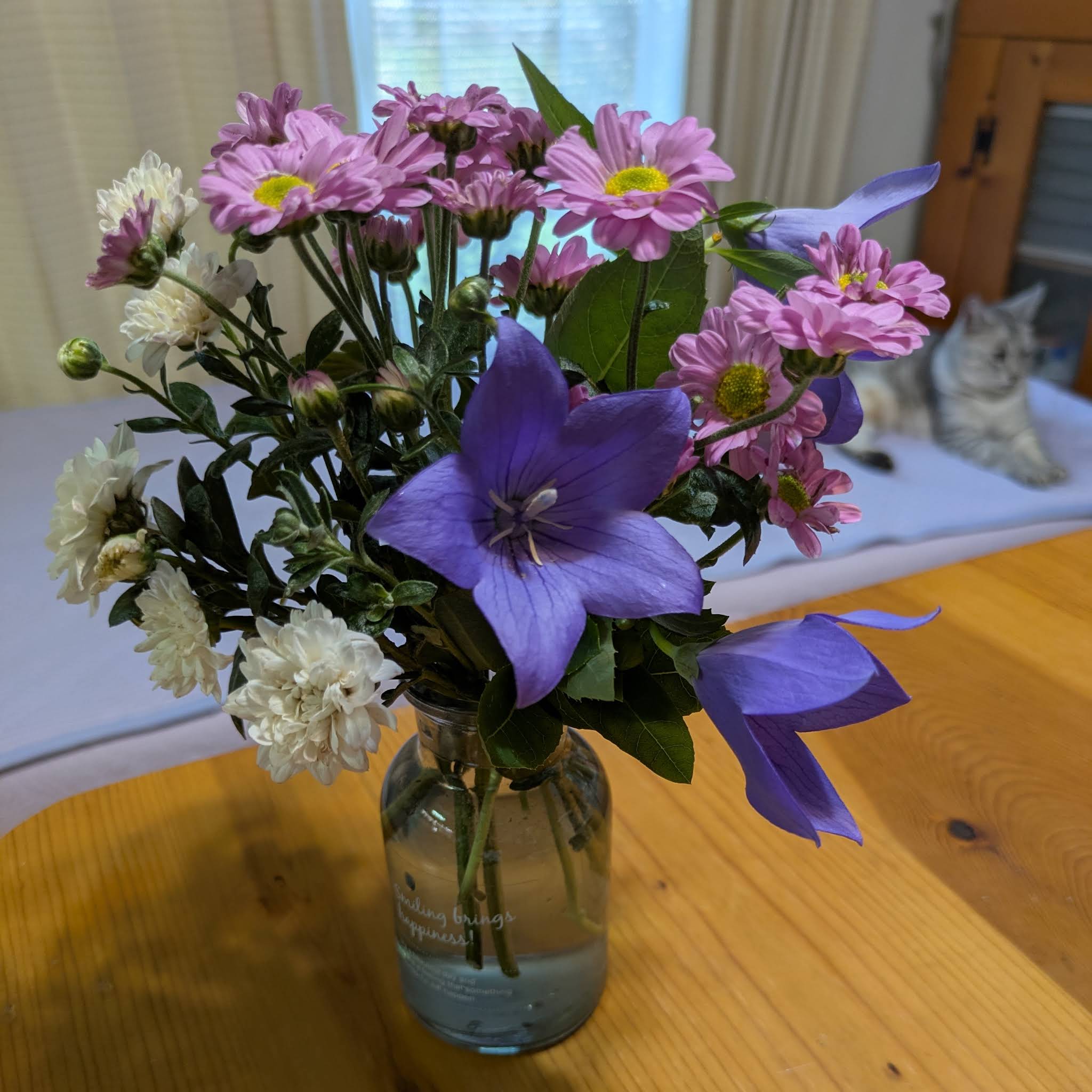 Post from cinnamon mon