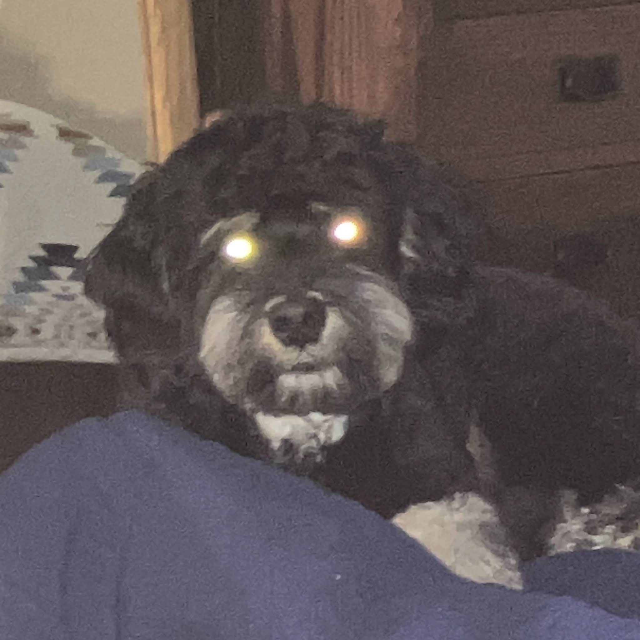 Post from Roblox_Player1911