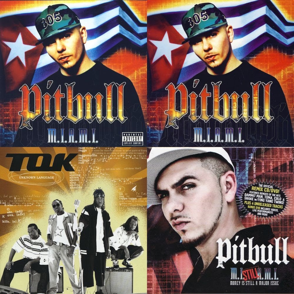All Pitbull Songs (2002-2021)