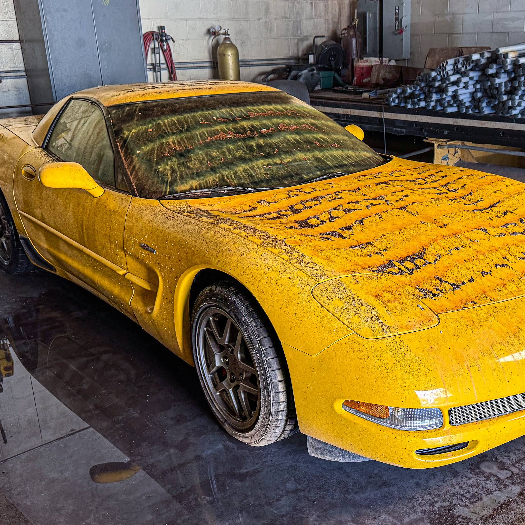 Post from WD Detailing