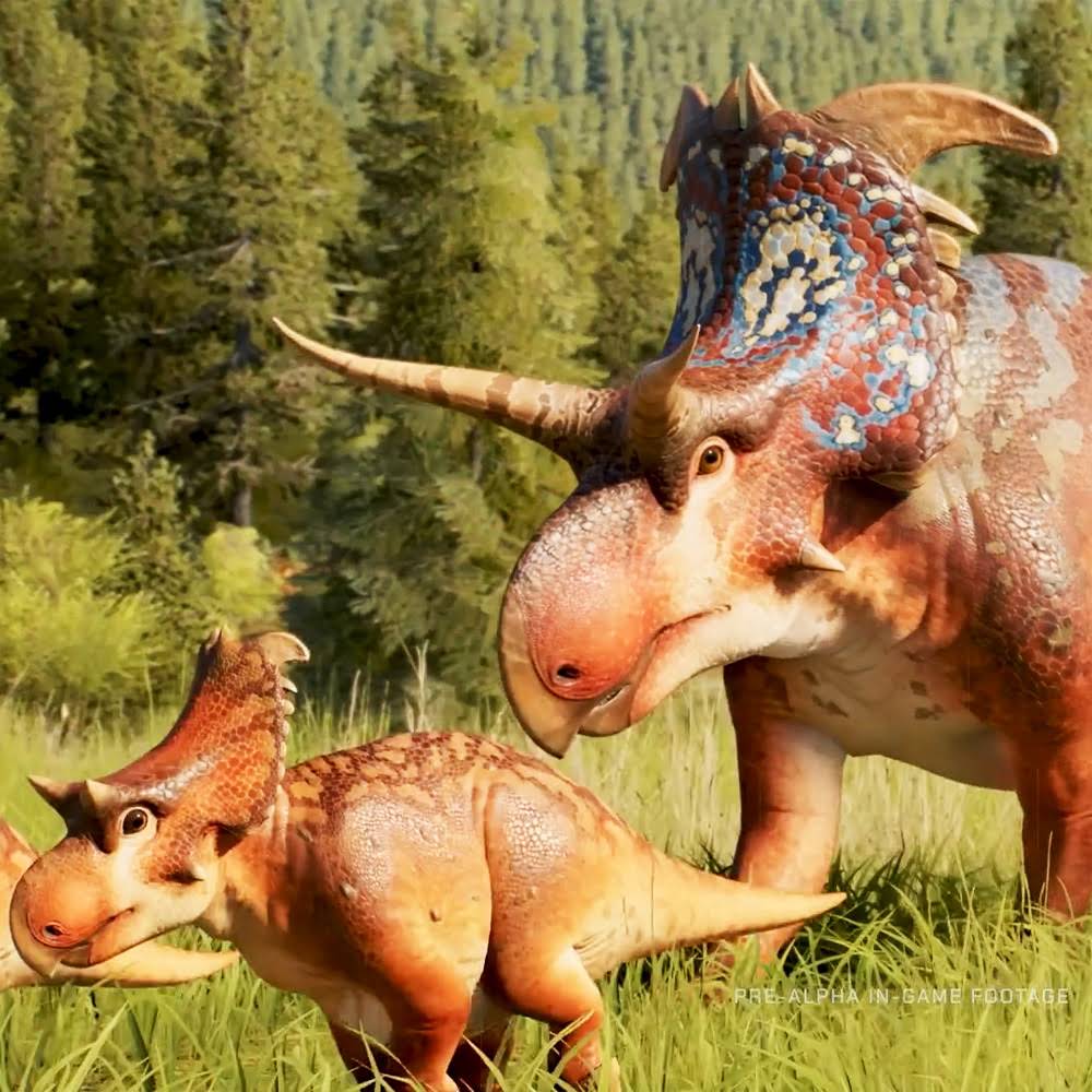 Post from Evolution Square