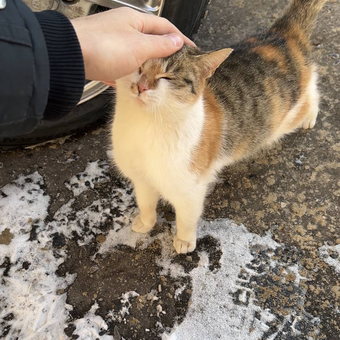 Post from notebook-31