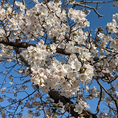 ohenro channelの年収・収入や登録者数などのデータと評判（クチコミ） - YouTuber Base