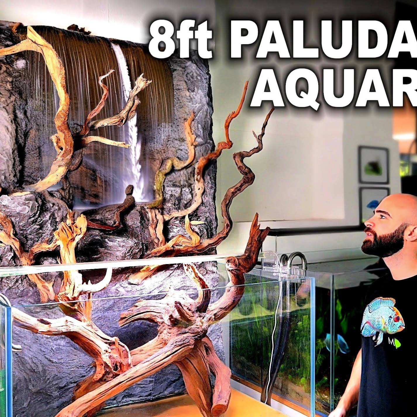 @mdfishtanks | MD Fish Tanks | fishfam.link