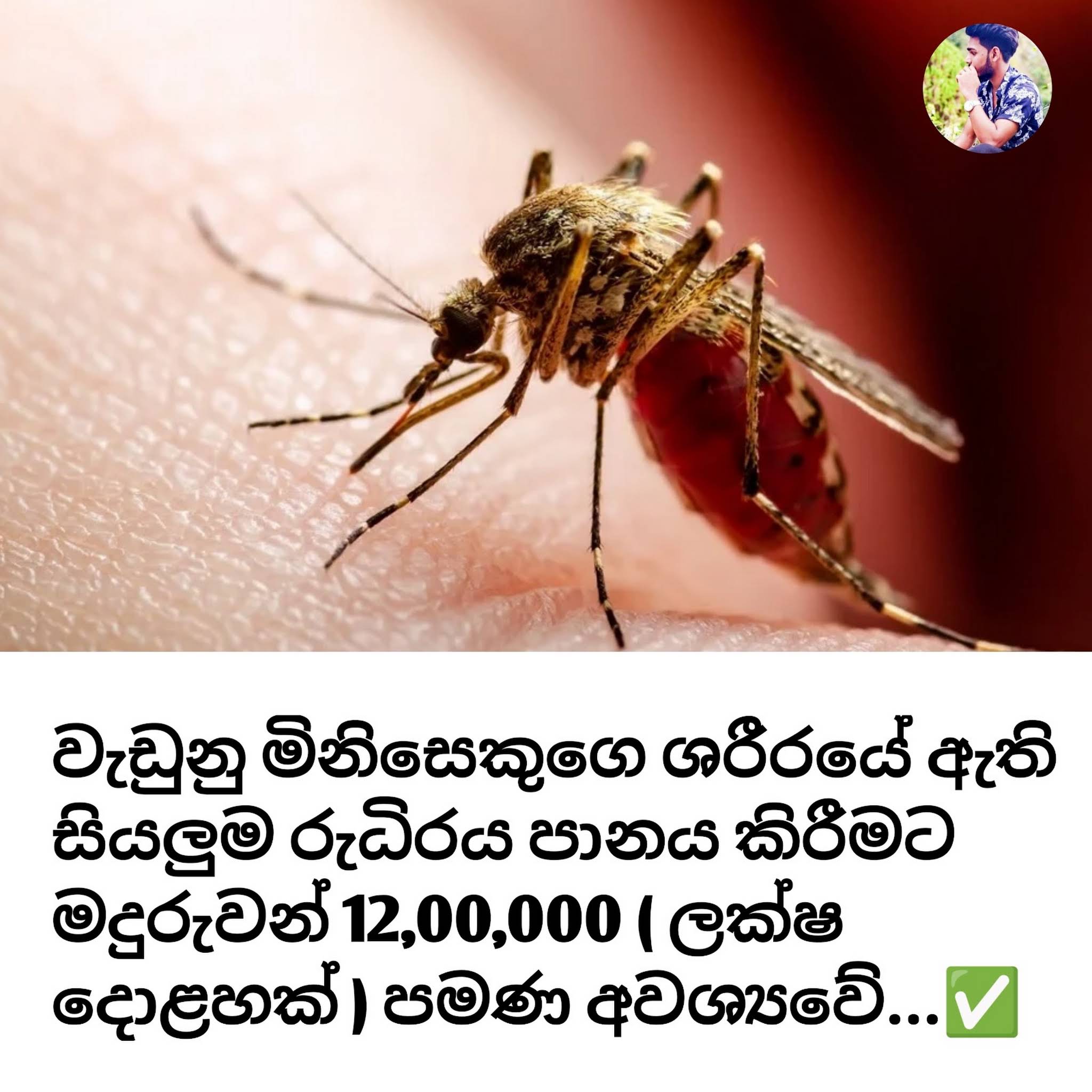 Post from දිශාව - Dishawa