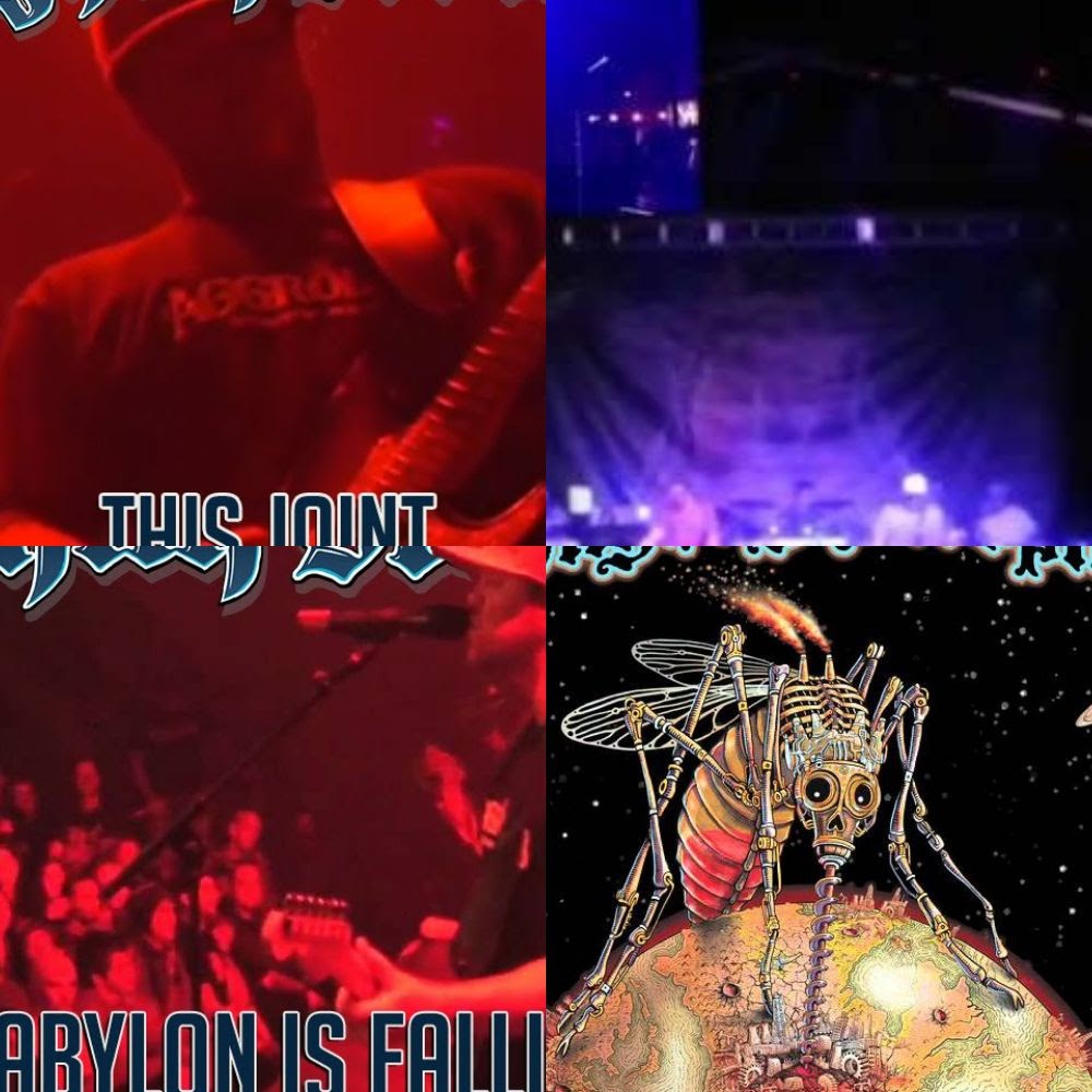 Slightly Stoopid / Reggae / 420 Playlist