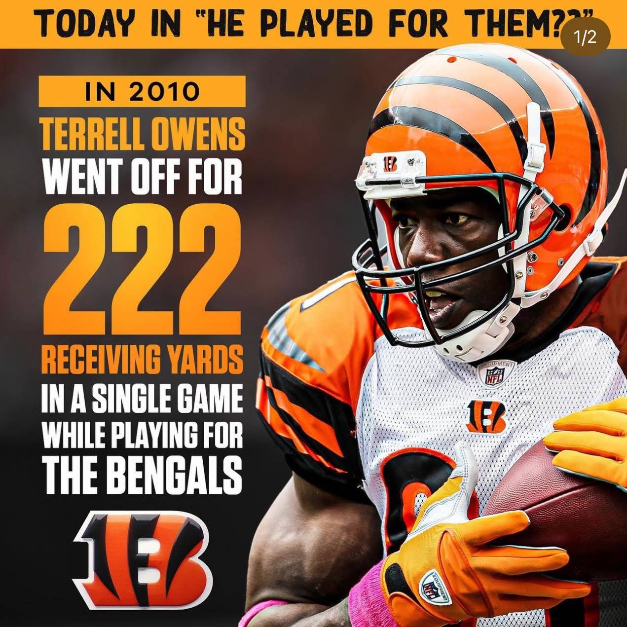 Post from FIRST STOP BENGALS