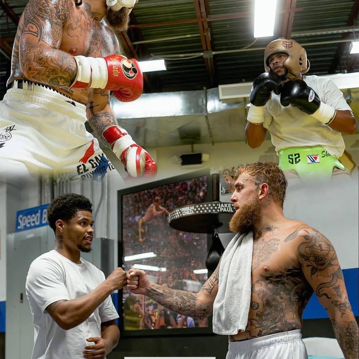 Post from MMA UNCENSORED