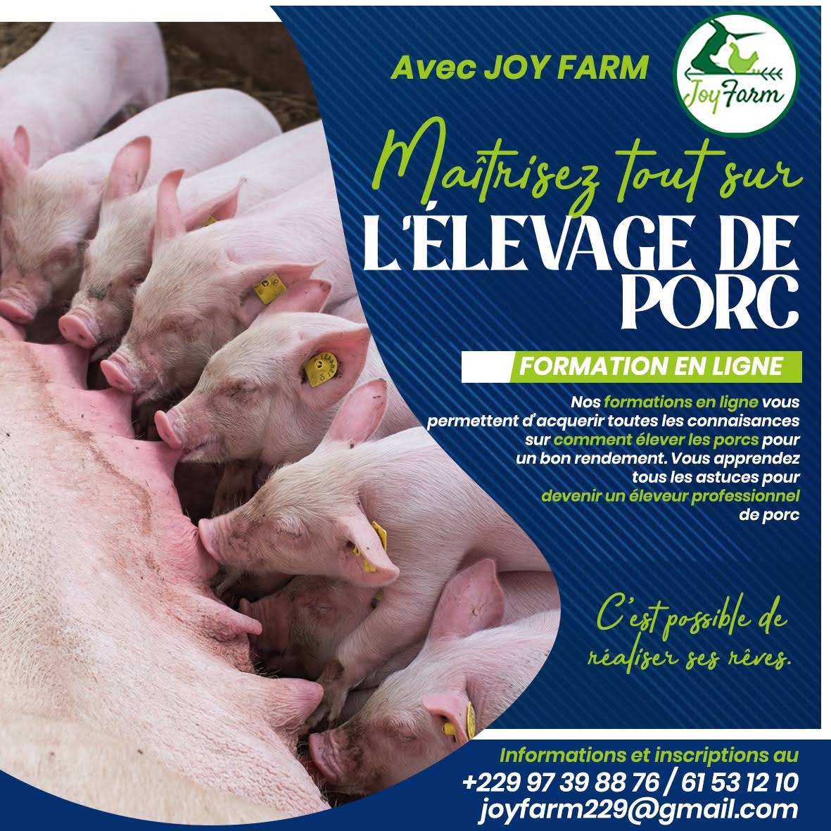 Post from JOY FARM BÉNIN