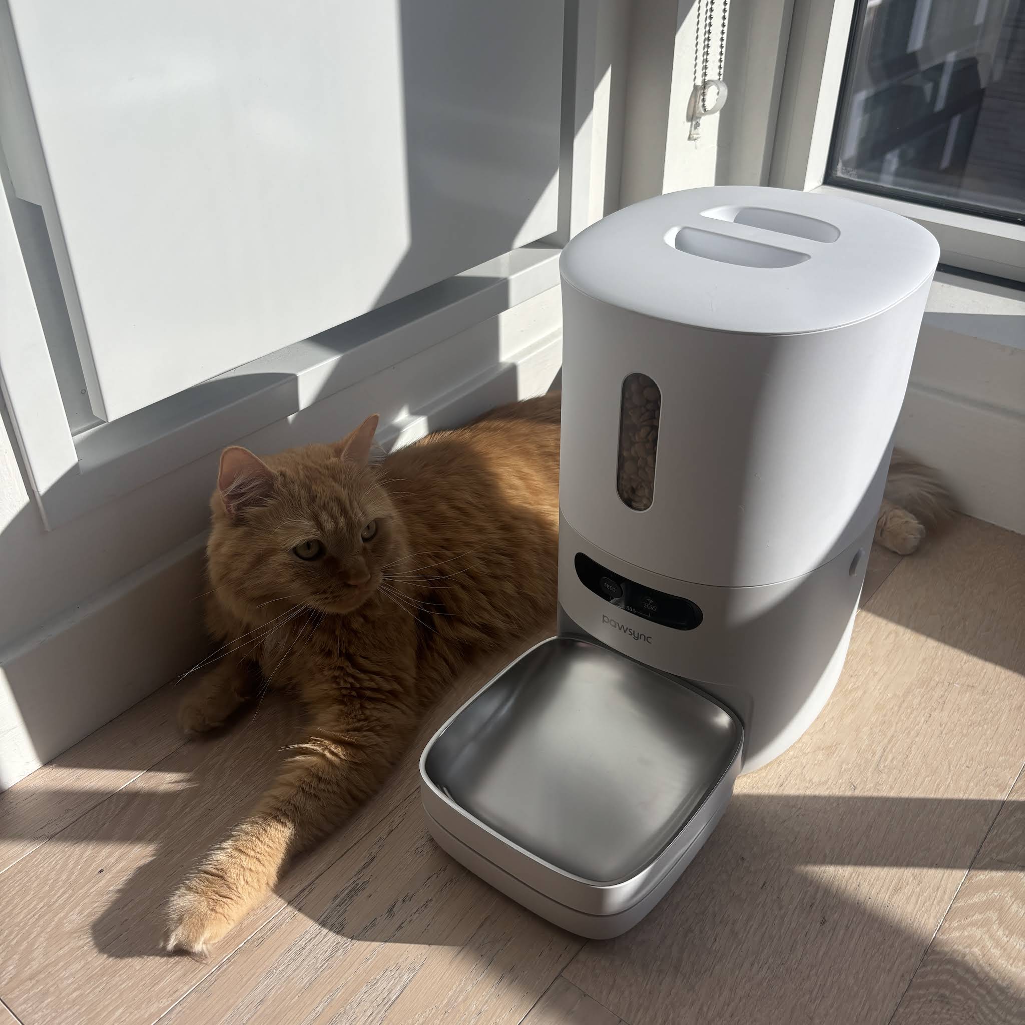 Post from Oh Charlie Cat