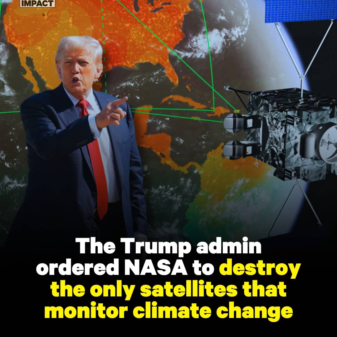 Post from NowThis Impact